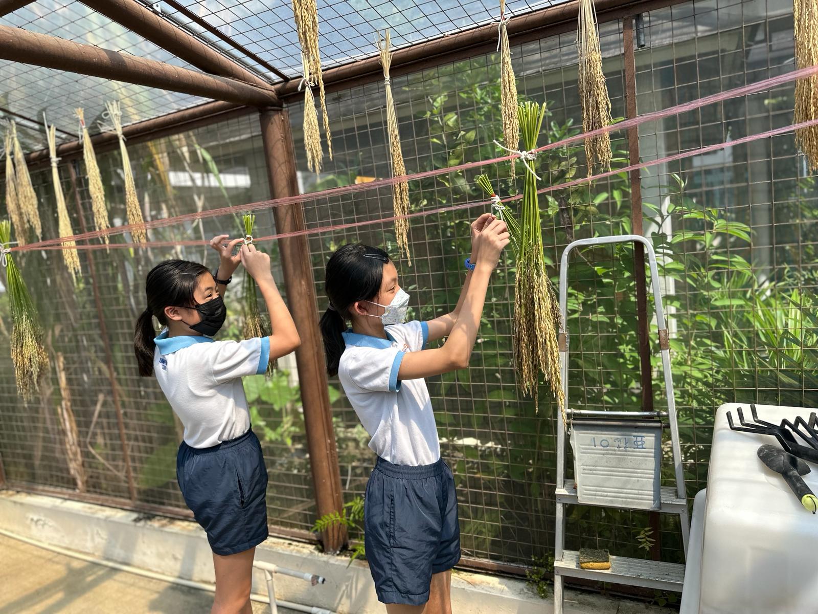 Environmental Science Club